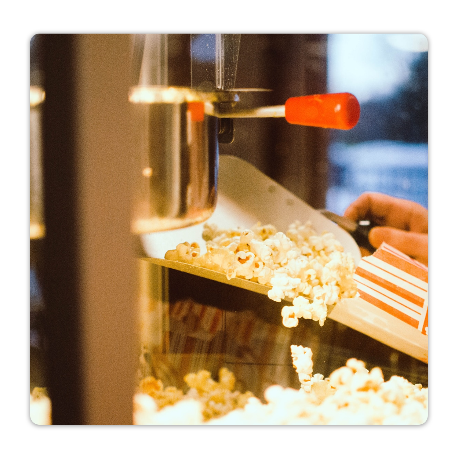 Your NEW Favourite Popcorn Shop!! | Movie Snacks Gourmet Popcorn Edmonton